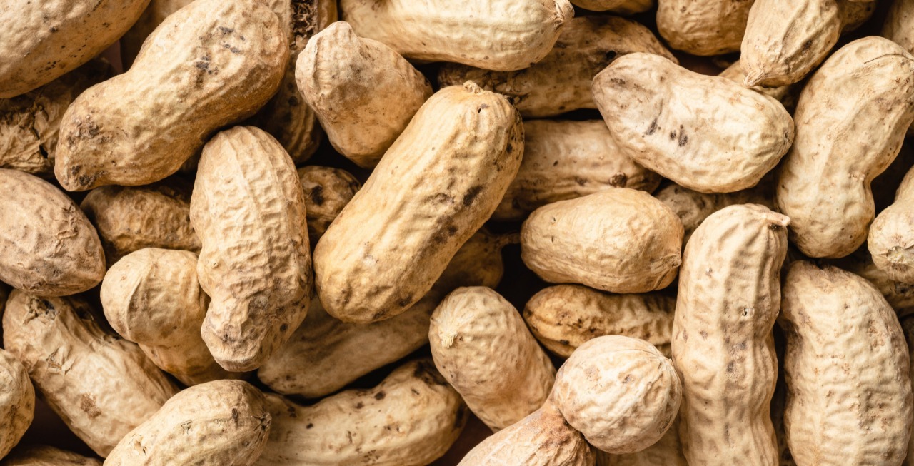Raw/Unshelled Peanut – Indus Pure Foods